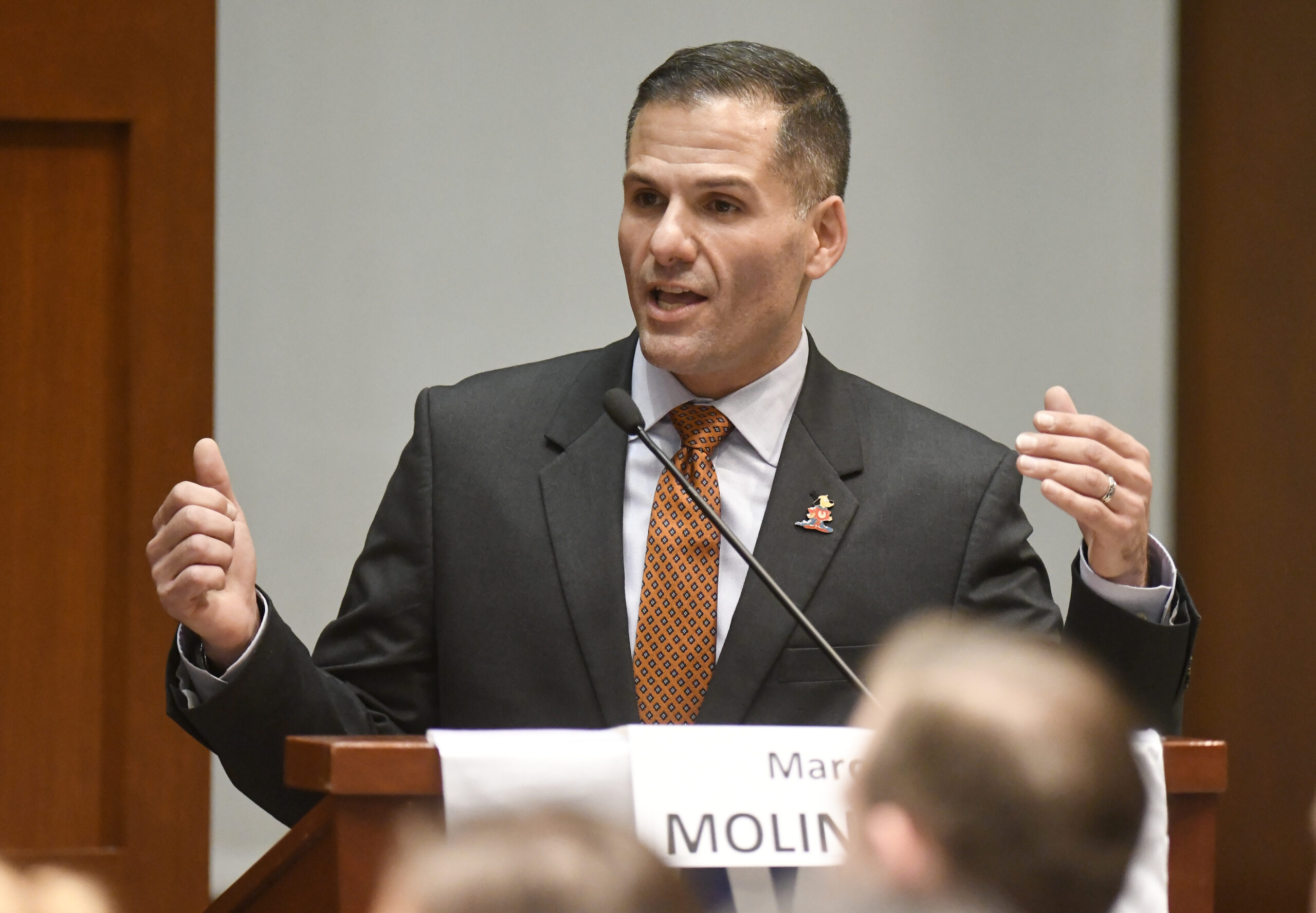 Molinaro looks for a second chance in a new NY-19, with a new opponent